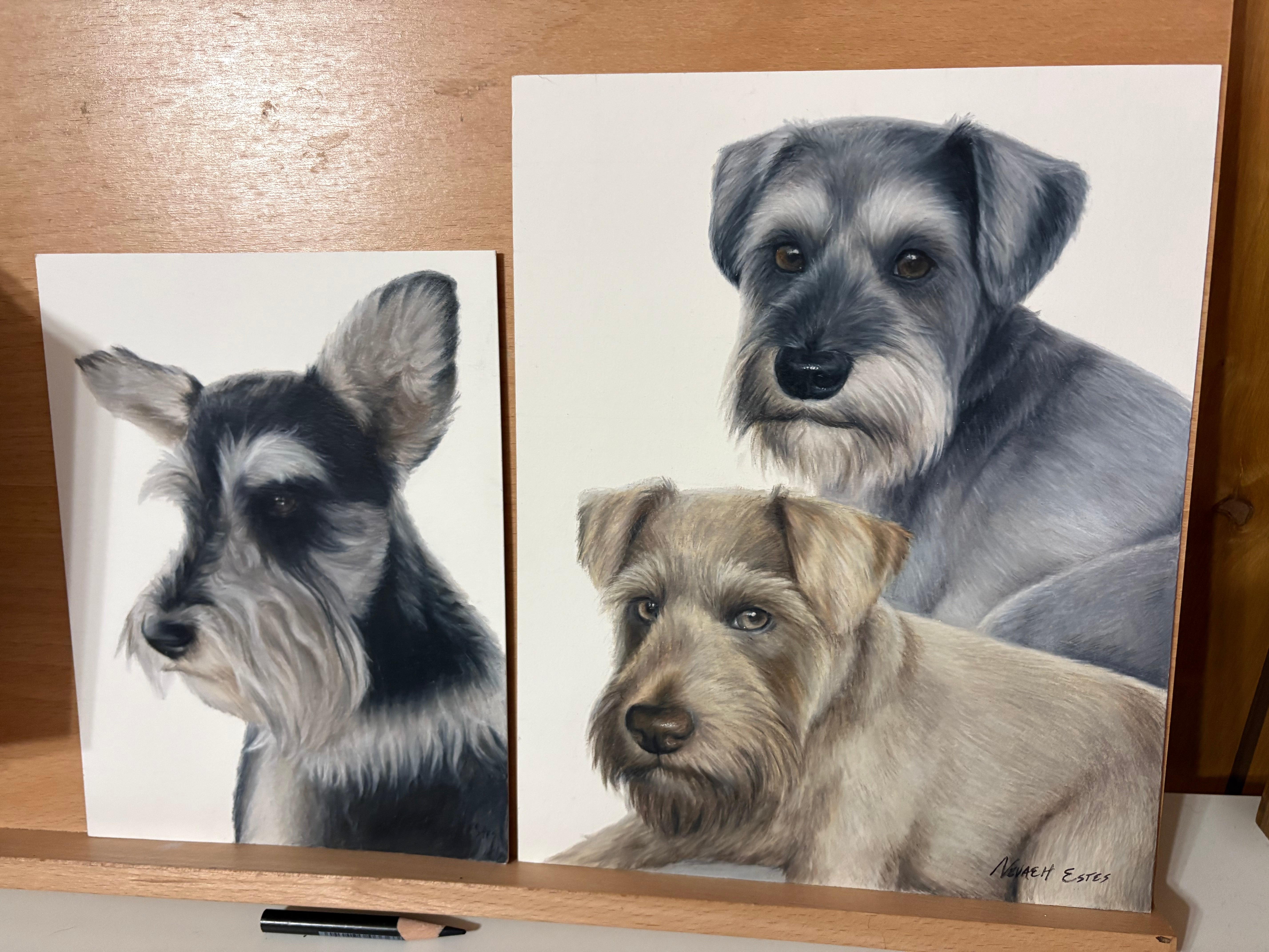 Final 50% Deposit — 6x8 in Custom Drawing – Nevaeh Estes Fine Art
